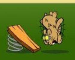 Flight of the Hamsters → Klik og spil spillet nu - GratisSpil.dk